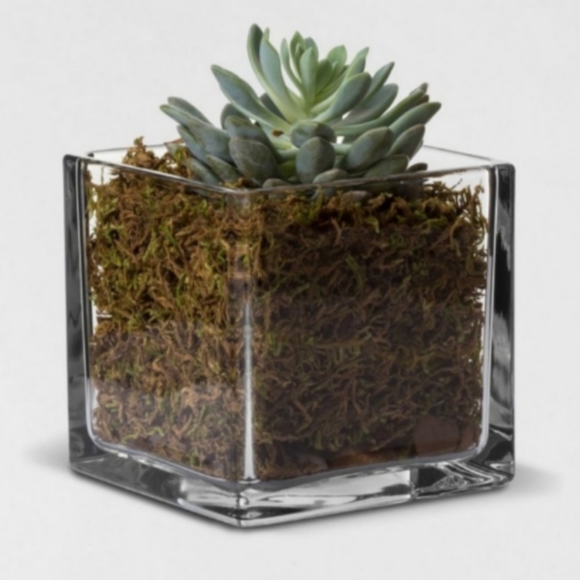 Boutique | Storage & Organization | Bogo Square Glass Cube Container ...